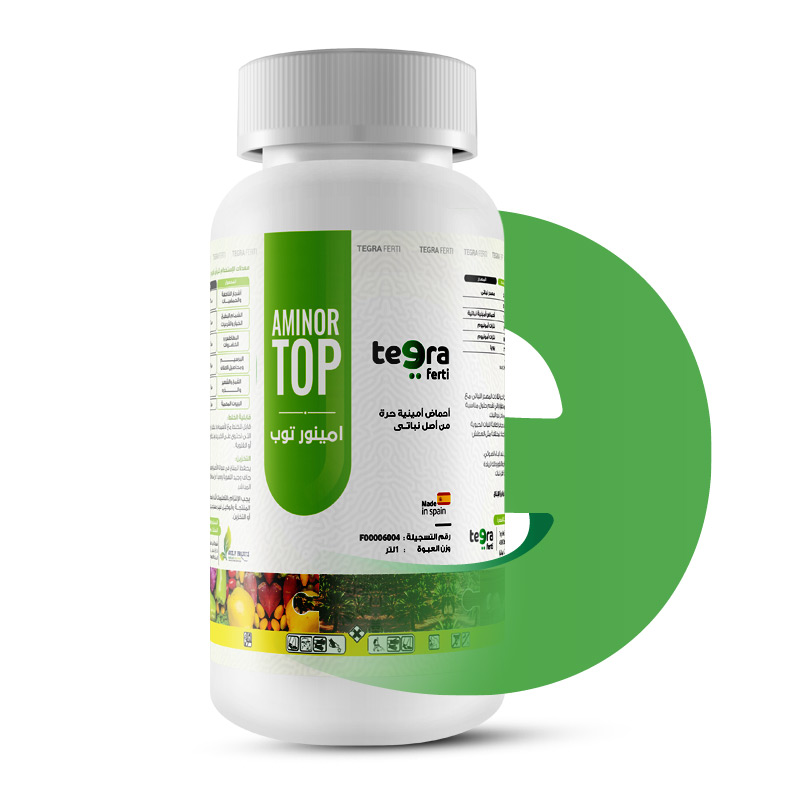 Aminor Top – Tegra Ferti