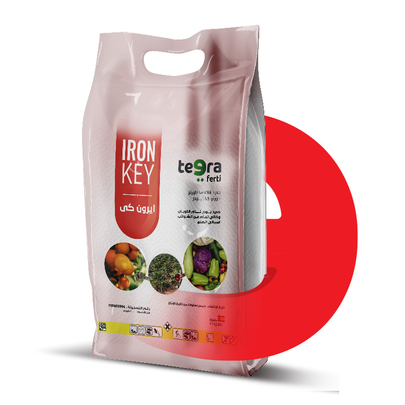 Iron Key – Tegra Ferti