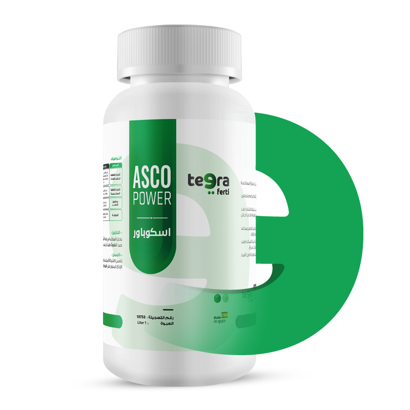 Asco Power – Tegra Ferti